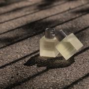 Bohemian Infusion Thameen parfum - un nouveau parfum pour homme et ...