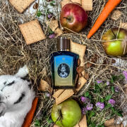 Rabbit Zoologist Perfumes аромат — новый аромат для мужчин и женщин 2024