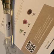 Rain Commodity аромат — аромат для мужчин и женщин 2013